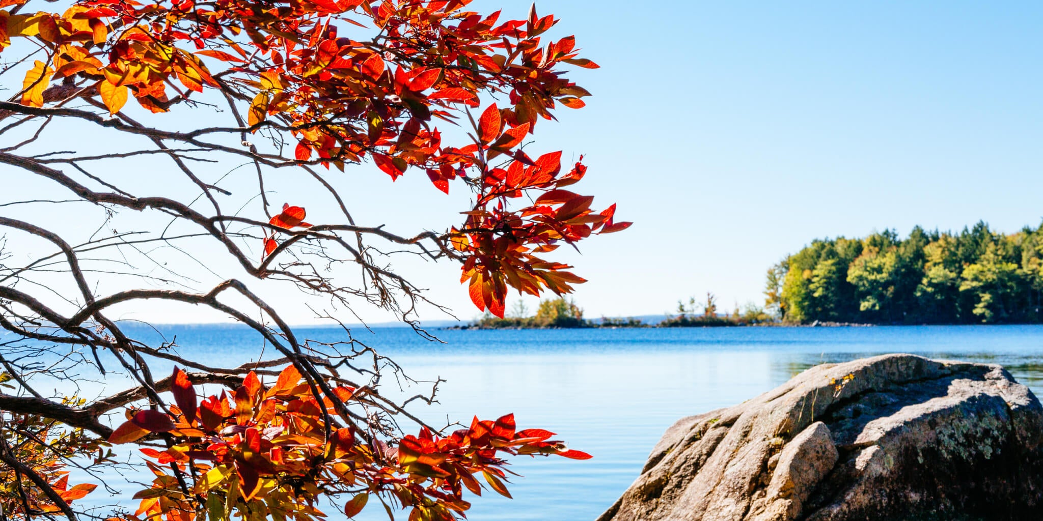 Fall in Maine: 5 Weekend Getaway Ideas for the Family | Cove Communities