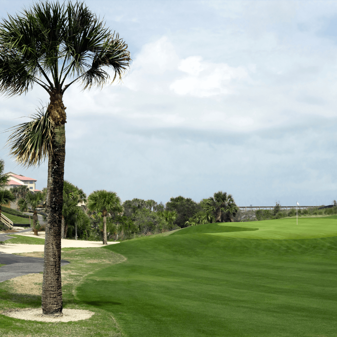 Golf Courses near Lake Griffin Harbor Village